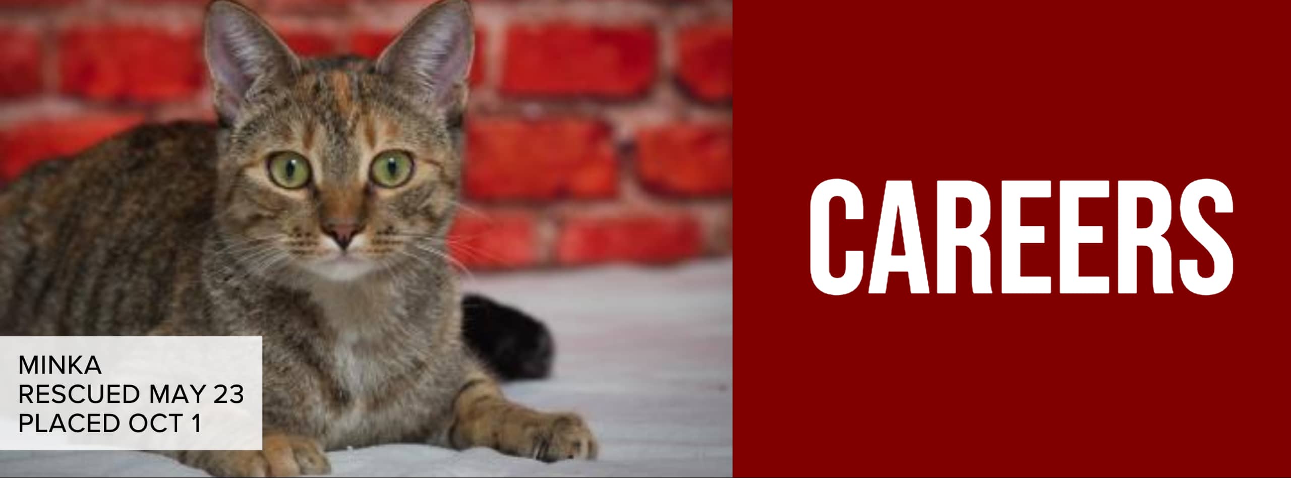 Careers - Tulsa SPCATulsa SPCA